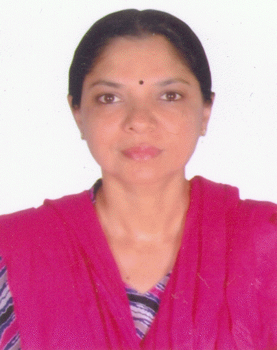 Executive Council | GNLU